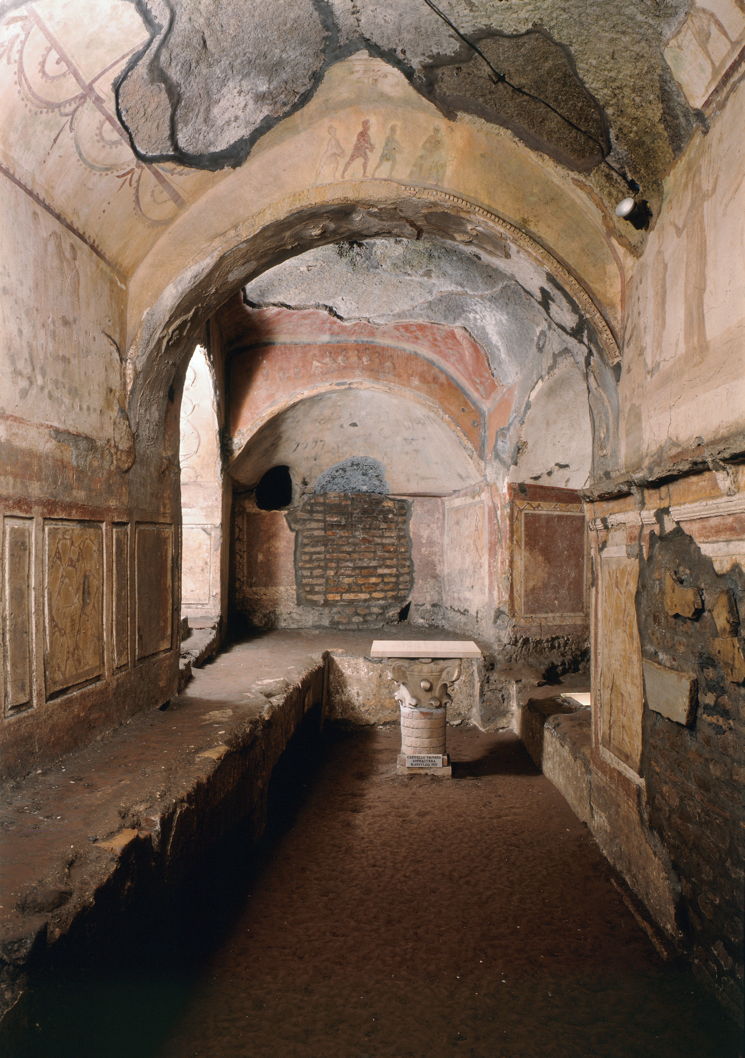 Humanities | D. S. McNeill